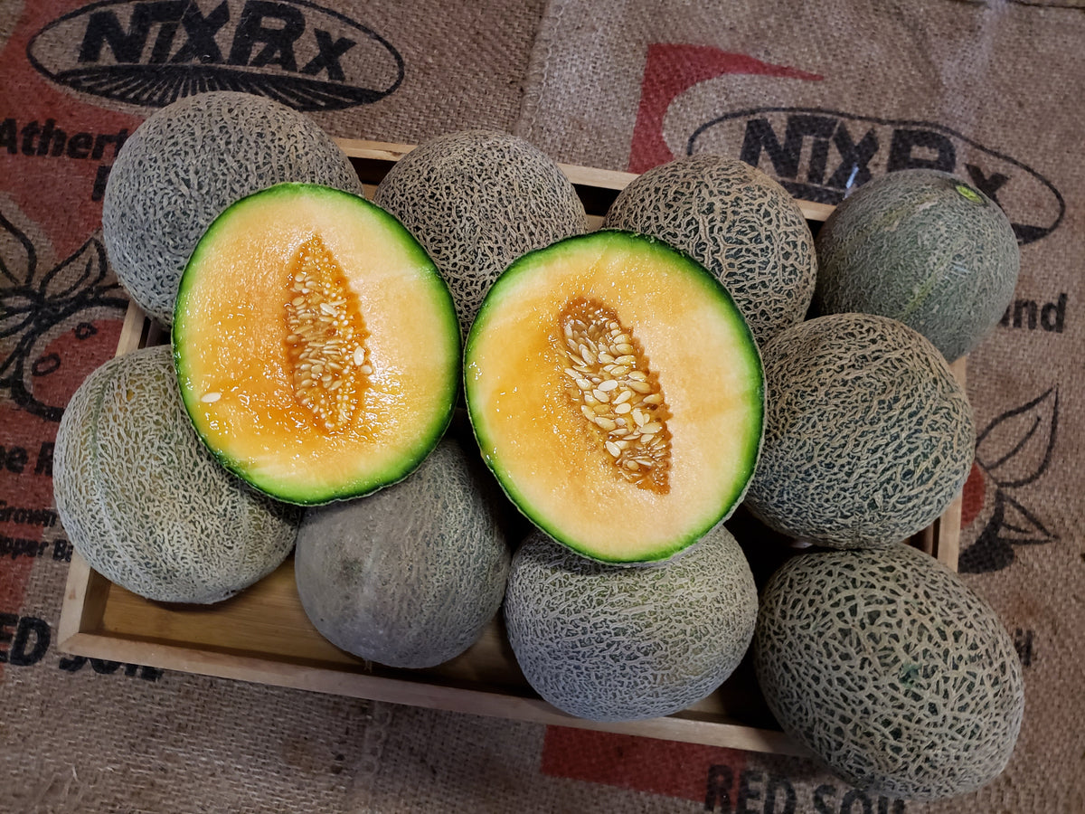 Rockmelon (SOUTH) – Tablelands To Tabletop