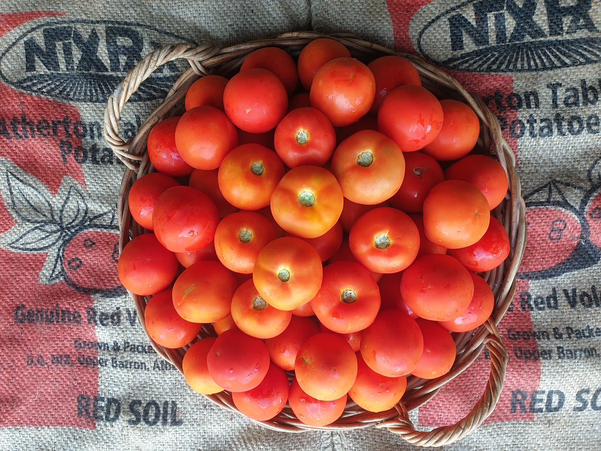 Tomatoes/gourmet – Tablelands To Tabletop