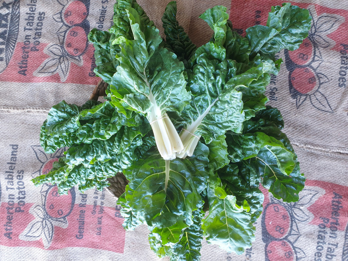 Silverbeet/mixed varieties – Tablelands To Tabletop