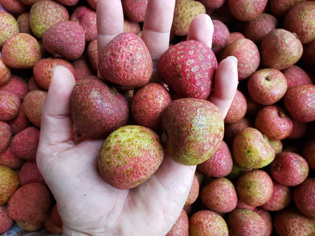 WS Lychees/mixed variety – Tablelands To Tabletop