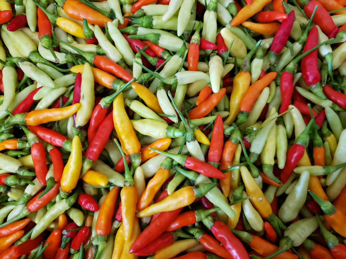 Chillies/red & green mix - spray free – Tablelands To Tabletop