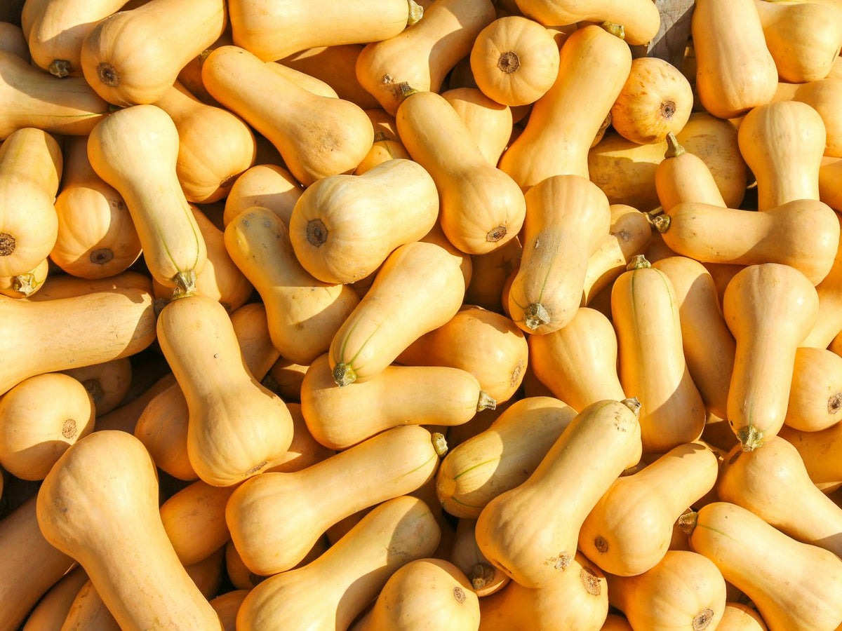 Pumpkin/butternut seconds – Tablelands To Tabletop