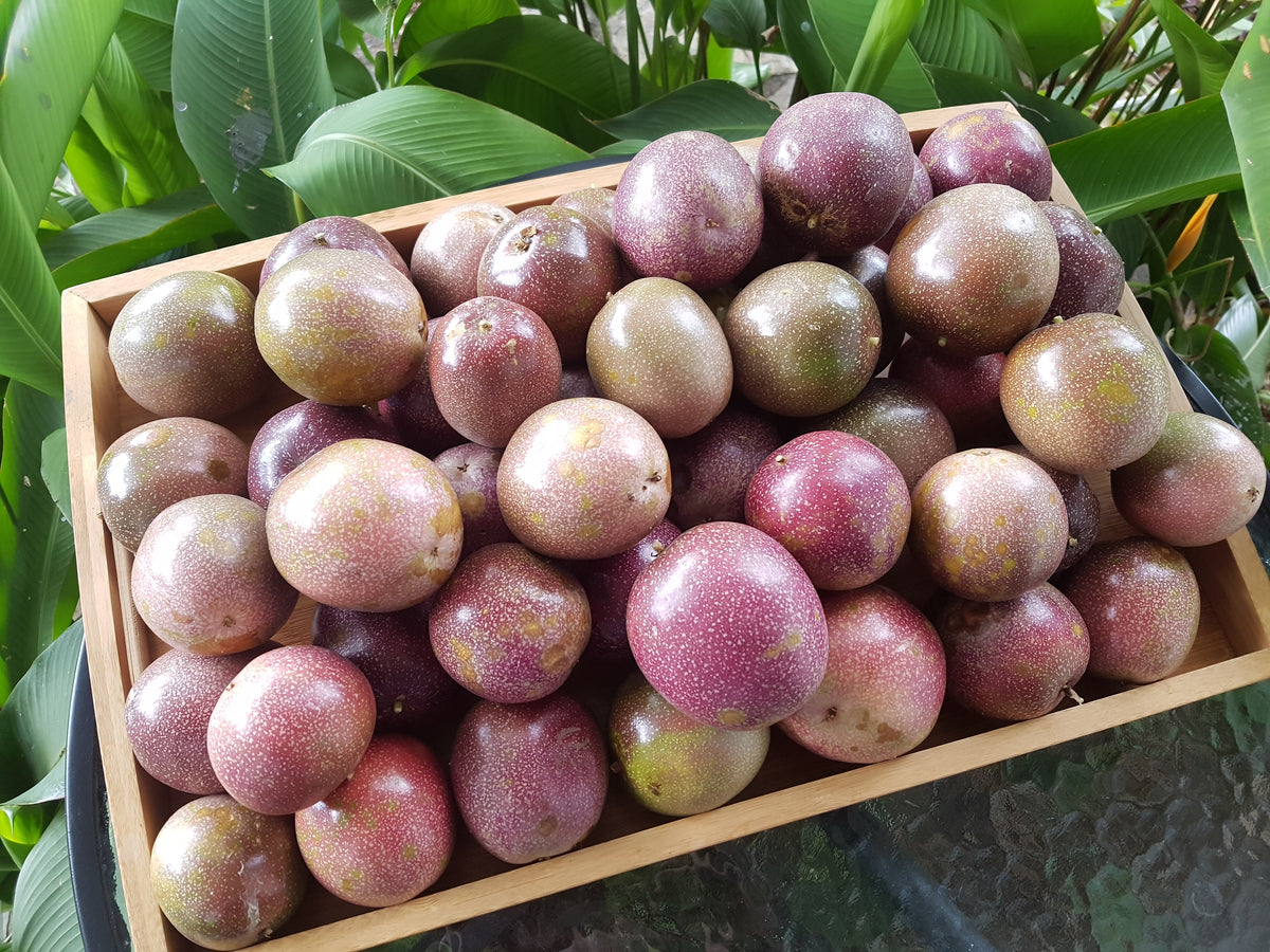 Passionfruit/light purple seconds – Tablelands To Tabletop